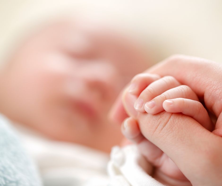 Sandra Merritt Will Take Planned Parenthood Case to High Court ...